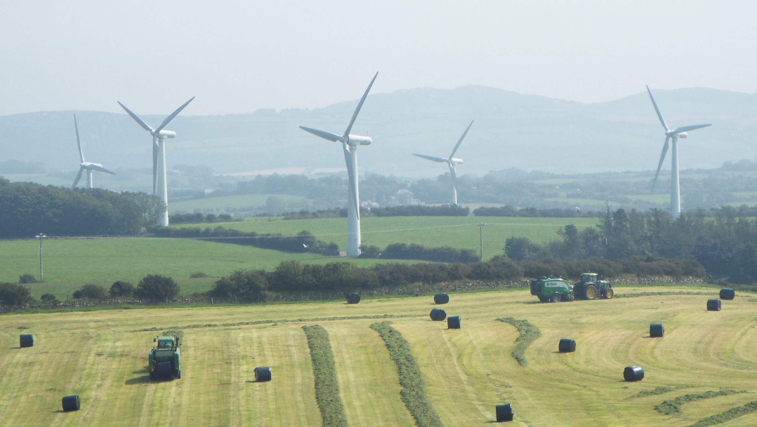 Research Themes – Rural Futures Hub