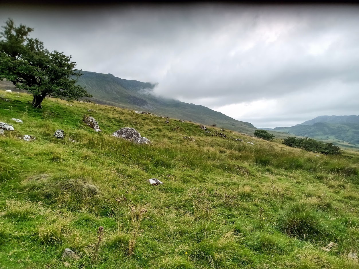 Pump Prime Funds for 3 new exciting AU rural research projects. – Rural ...